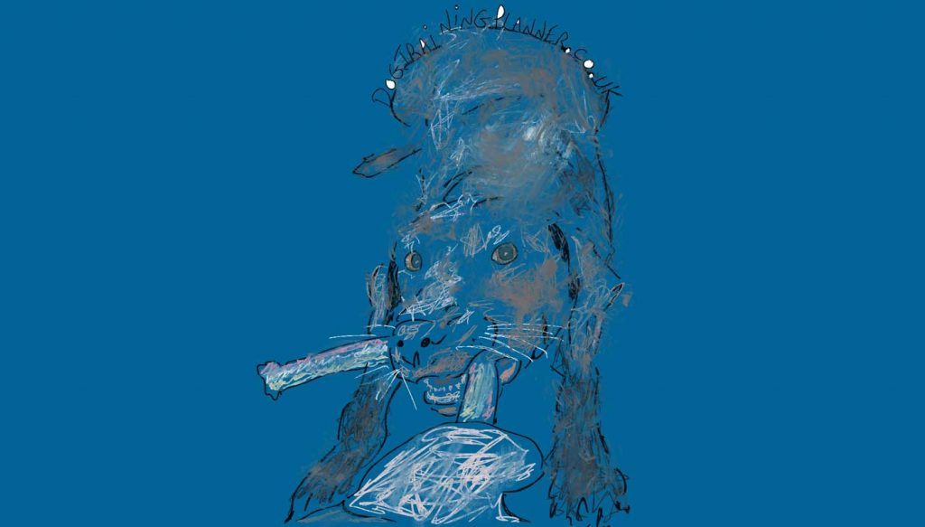 dog-exercises-tug-toy-dog-training-planner